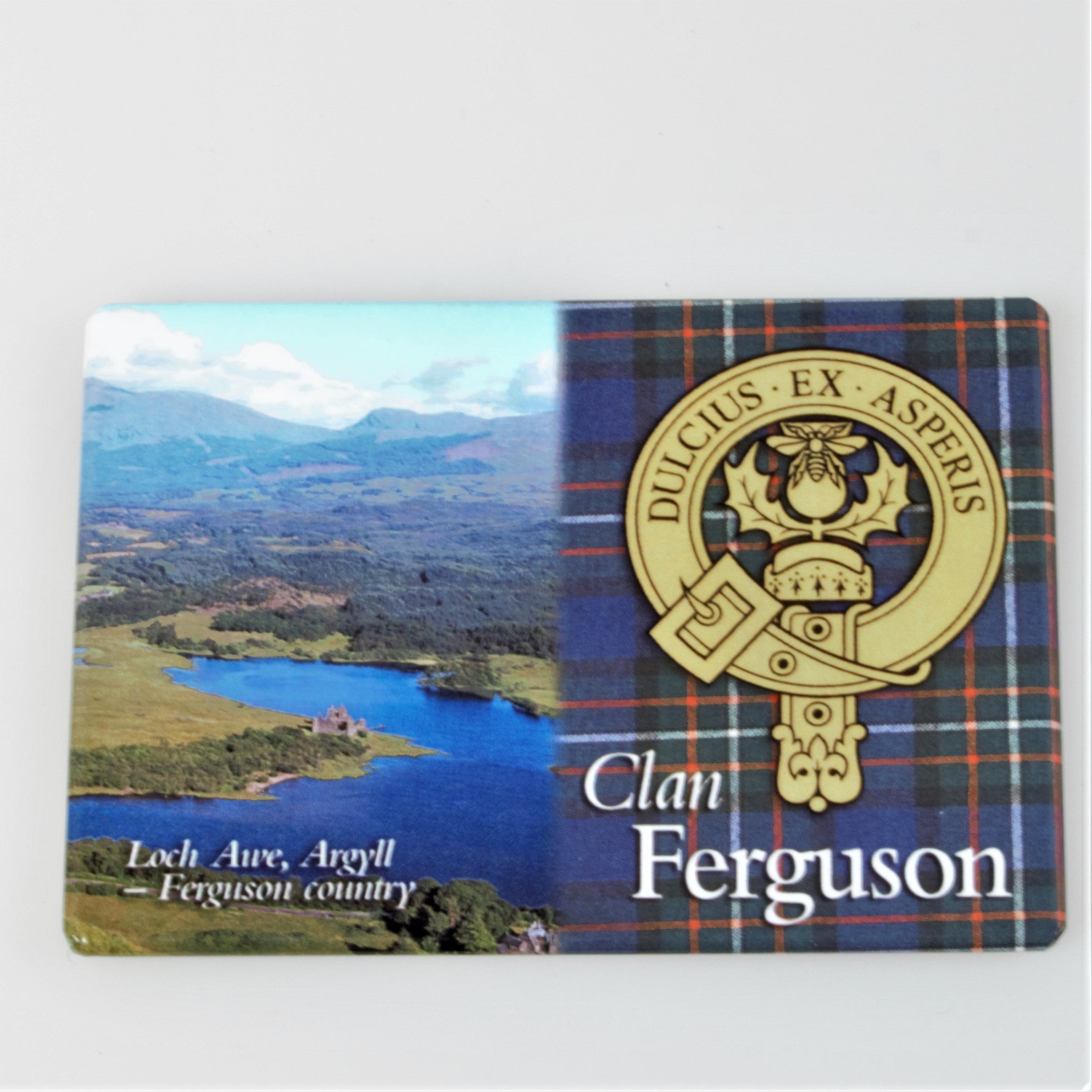 Ferguson Clan Crest Fridge Magnet